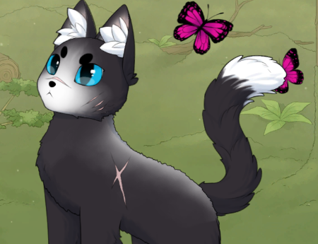 Curious Cat Creator - Play Online Curious Cat Creator on Unblocked Game 66